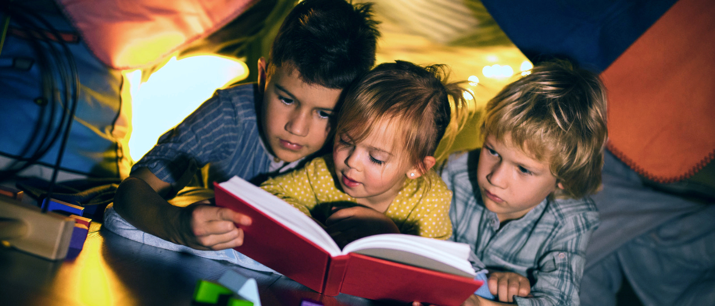 Fort Night – Shelton Library System